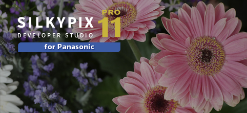 SILKYPIX Developer Studio Pro11 for Panasonic English Software Manual